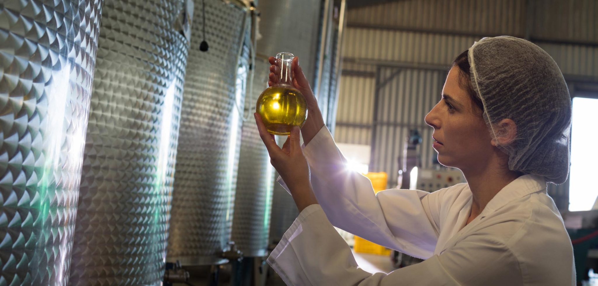 Food & Beverage Filtration - Global Filter